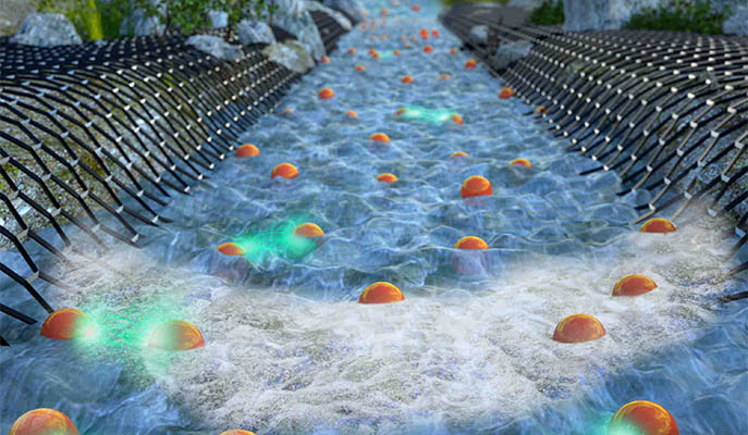 Electrons Caught Flowing like Water for the First Time