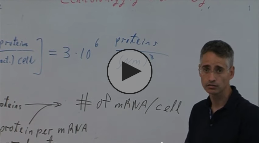 Cell Biology Lecture Series by Prof. Ron Milo - Gallery | Weizmann ...